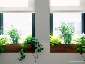 30+ Quirky DIY Window Plant Shelve Ideas • Creatively Living Blog
